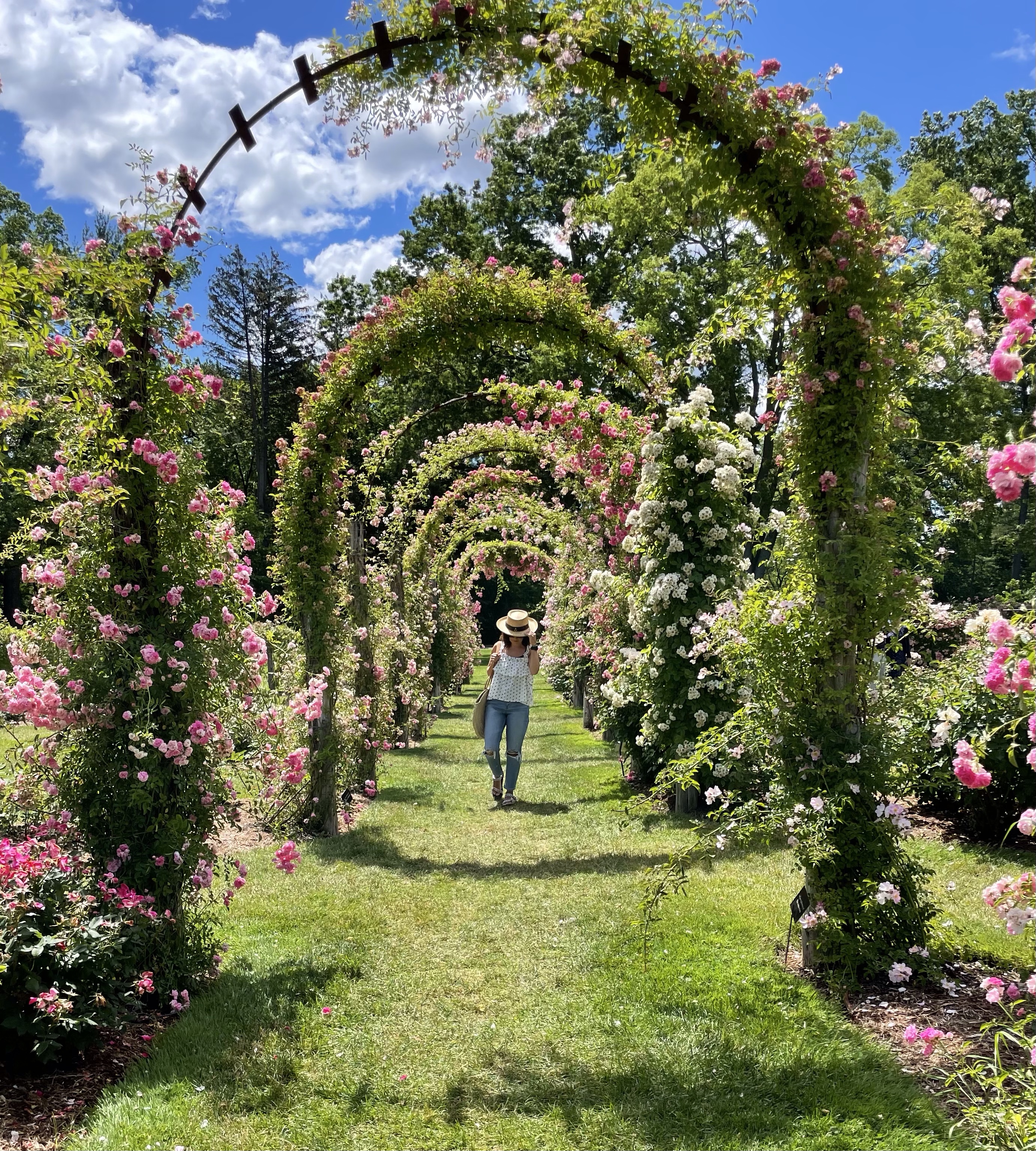 Elizabeth Park Rose Garden Elizabeth Park Conservancy